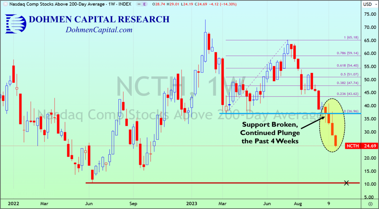 2023: The Year of Great Deceptions - Dohmen Capital Research